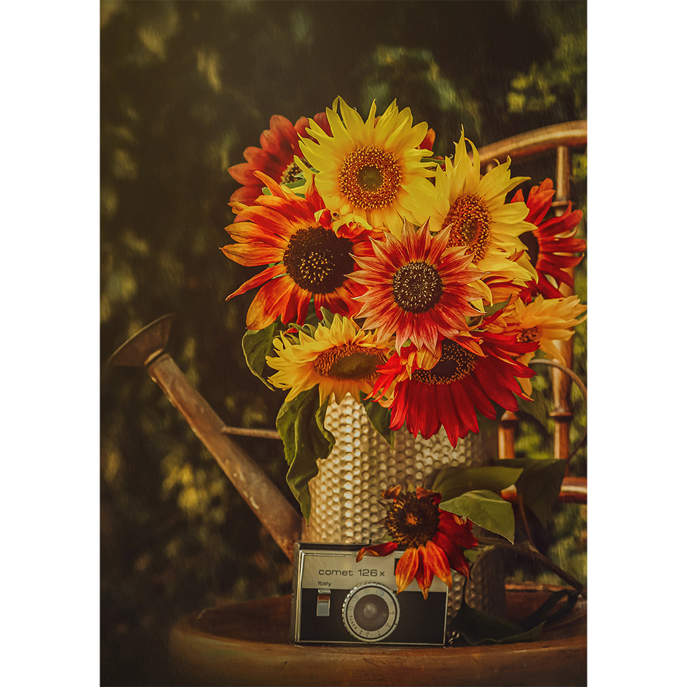 Sun-Kissed Bouquet – Post Stone