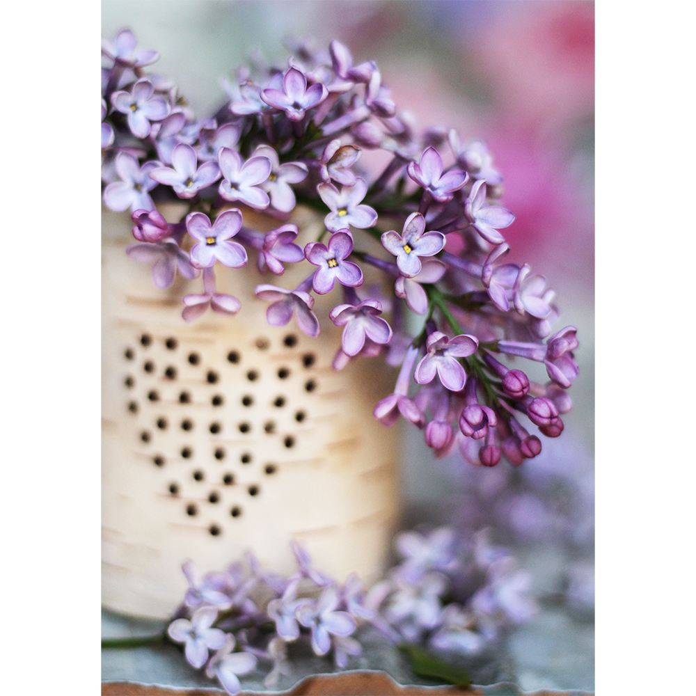 Lilac Blooms – Post Stone