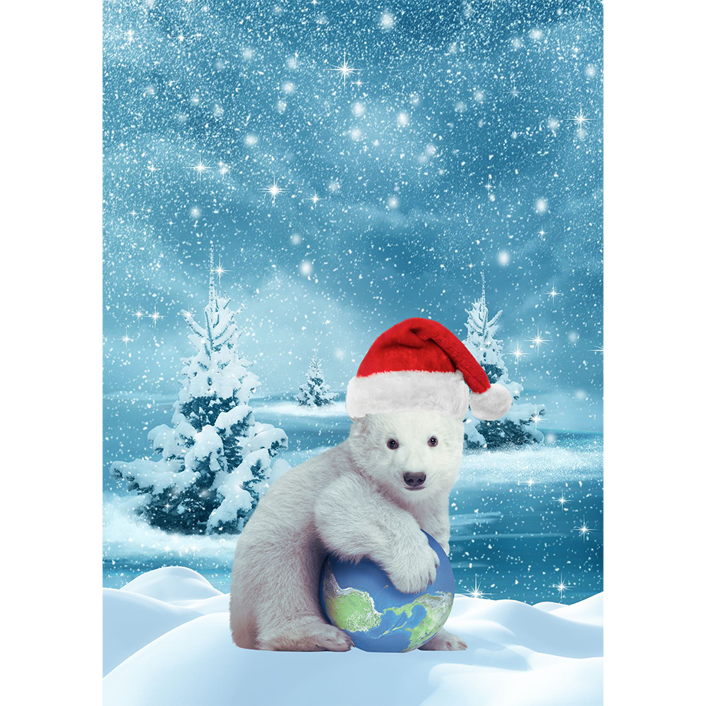 Snowbound Solitude – Post Stone