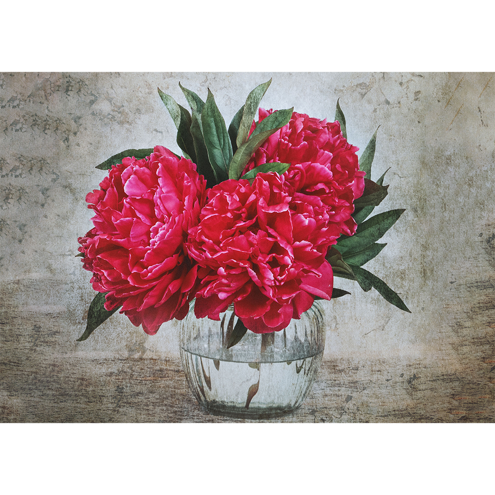 Peonies in Full Splendor – Post Stone