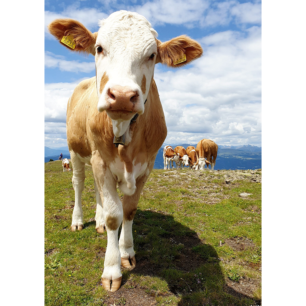 Milka – Post Stone