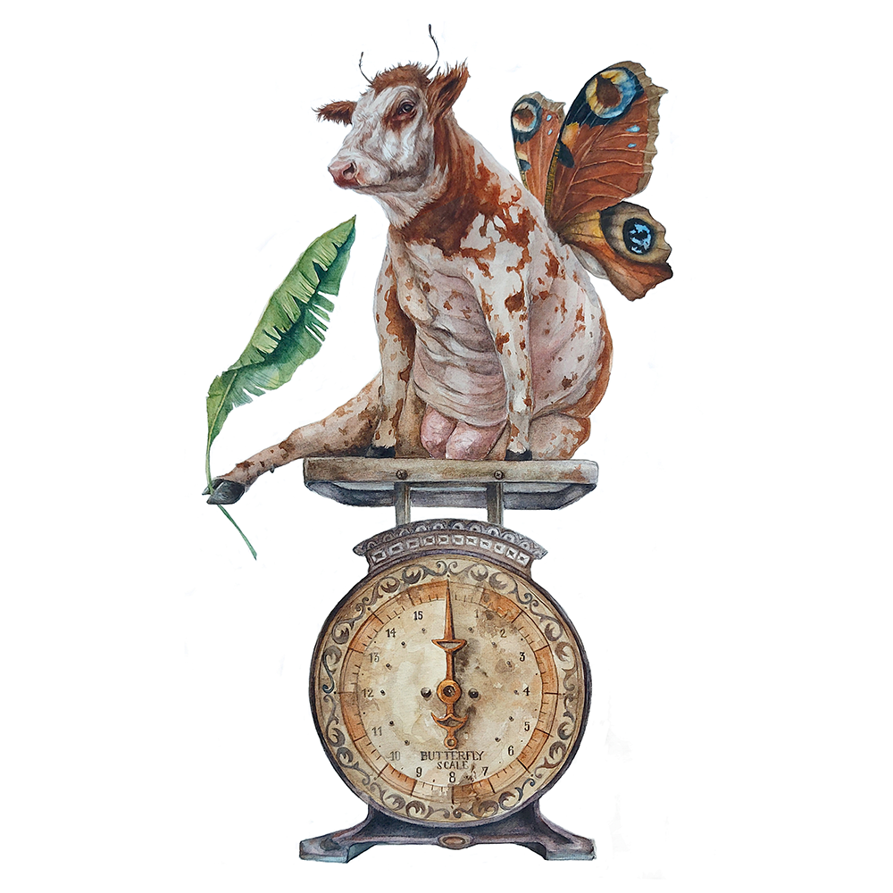 The Butterfly Scales – Post Stone